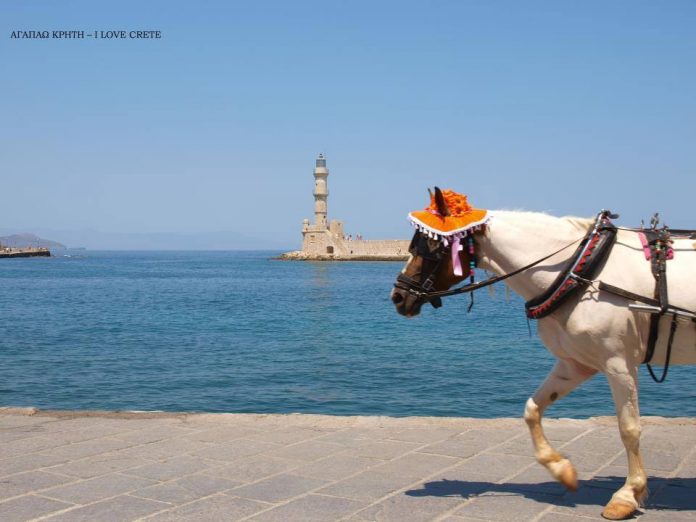Γαϊδοτράγουδα