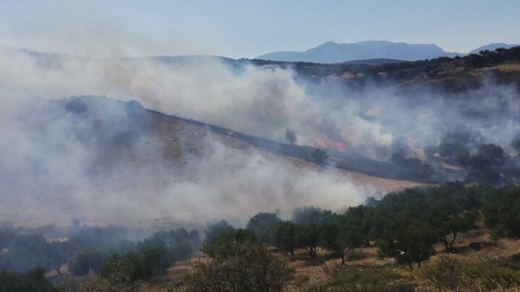 Πεθερές… με κρητικές μαντινάδες!