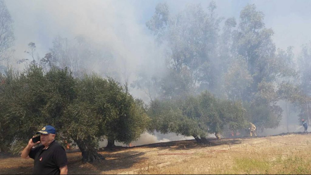 Τέθηκε υπό μερικό έλεγχο η φωτιά στα Καλύβια Ηρακλείου