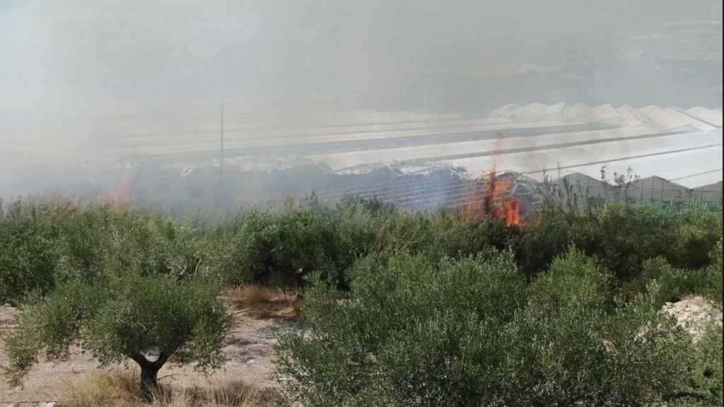 Καίγονται αγροτικές καλλιέργειες στην περιοχή Στόμιο της Ιεράπετρας